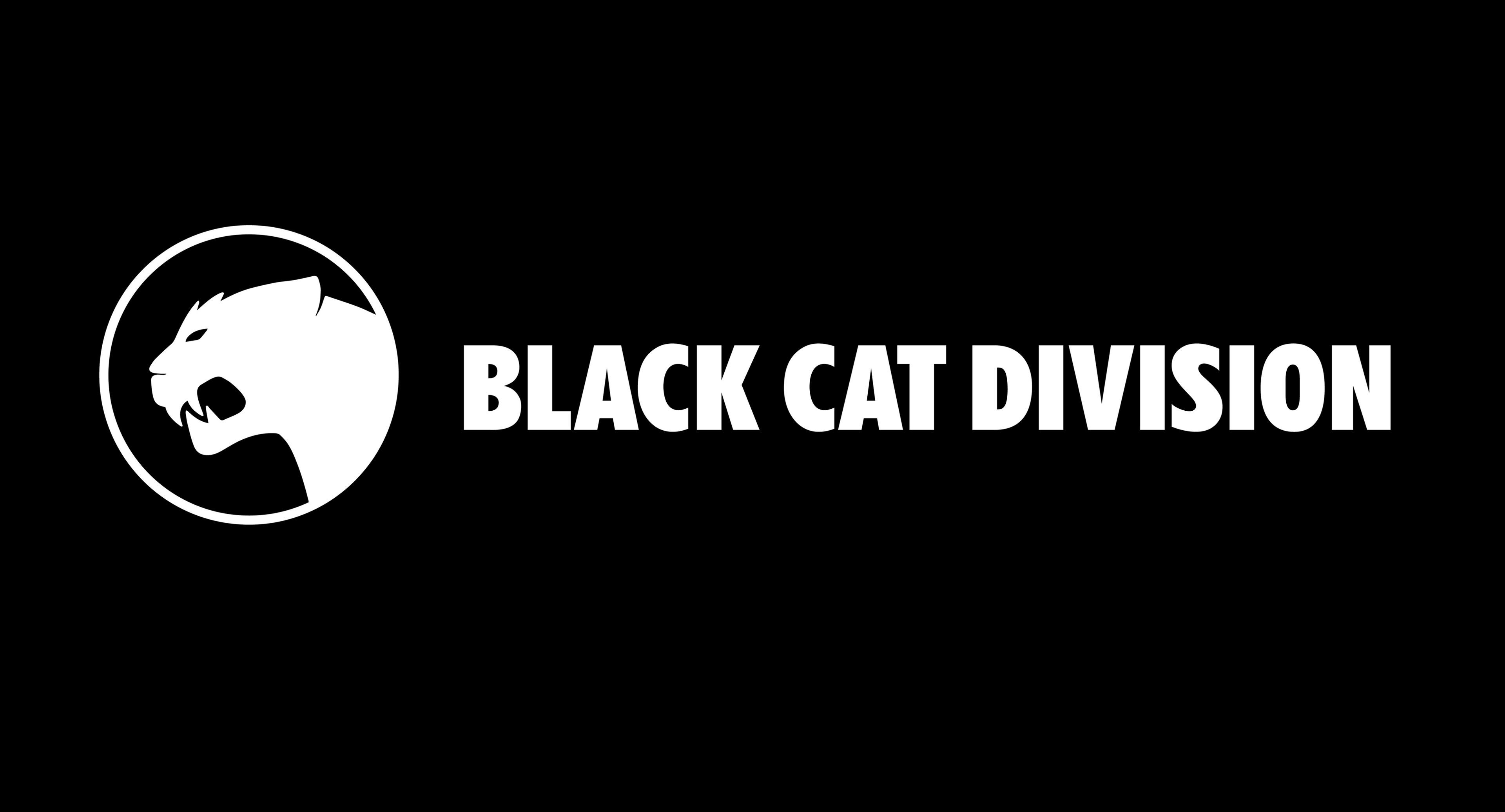 Black Cat Division
