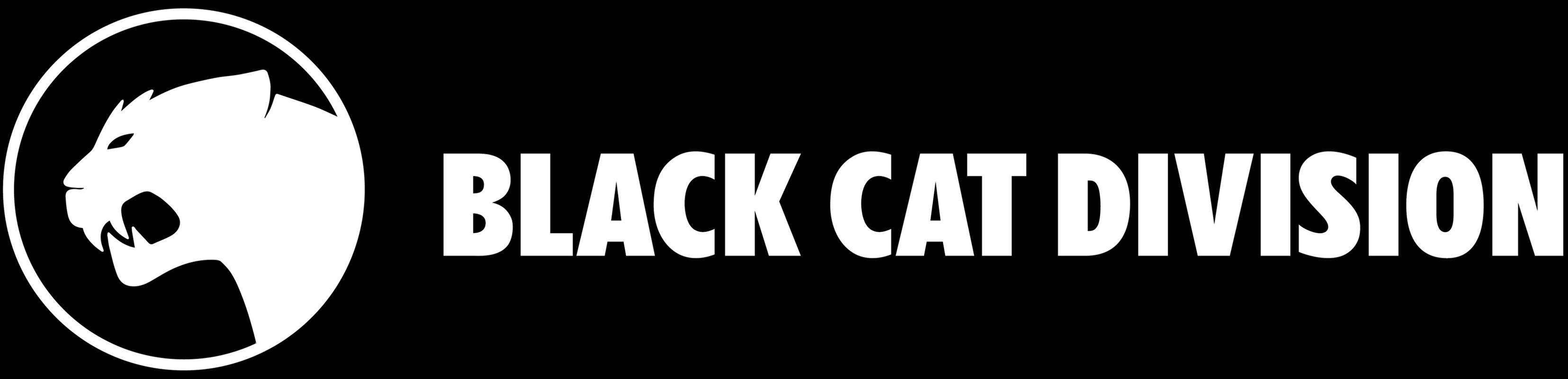 Black Cat Division